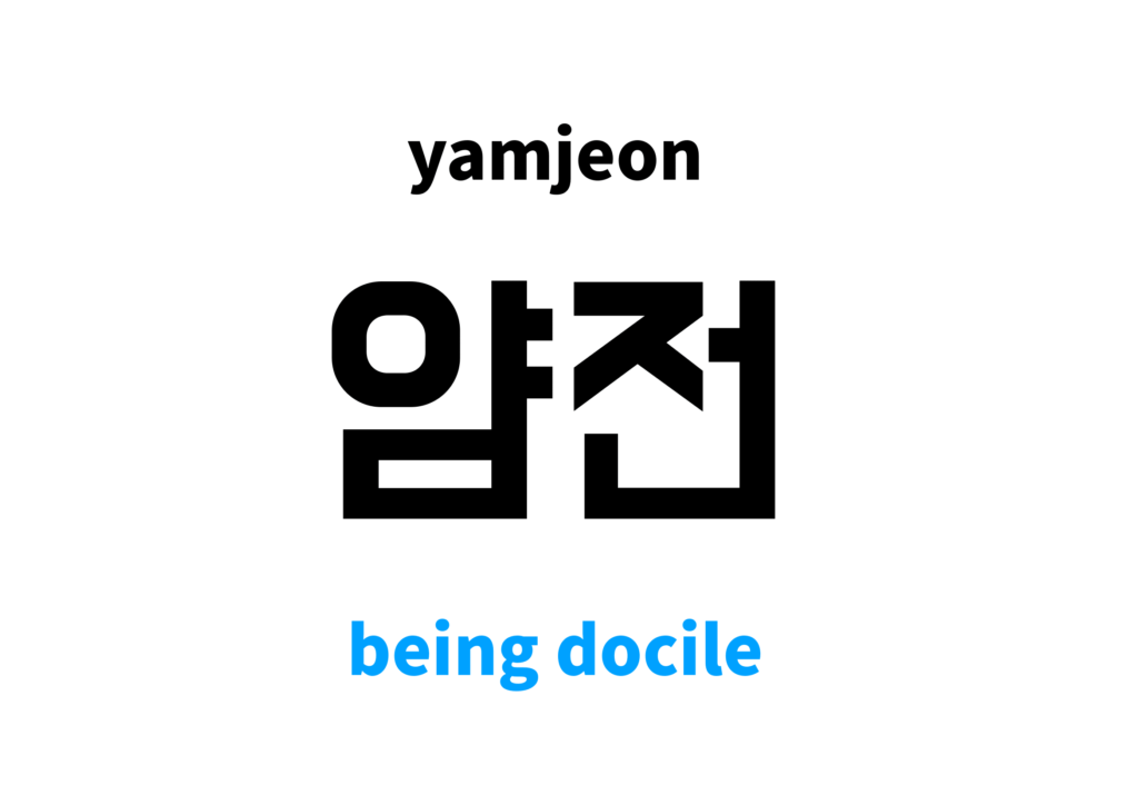 being docile in Korean: 얌전's meaning and pronunciation